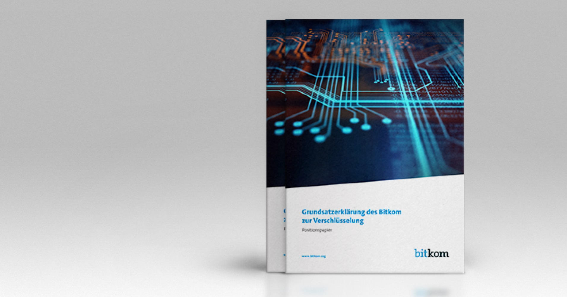 Grundsatzerklärung des Bitkom zur Verschlüsselung | Positionspapier ...
